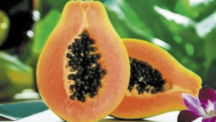 La Lechoza fruta beneficiosa para nuestro organismo rica en vitaminas