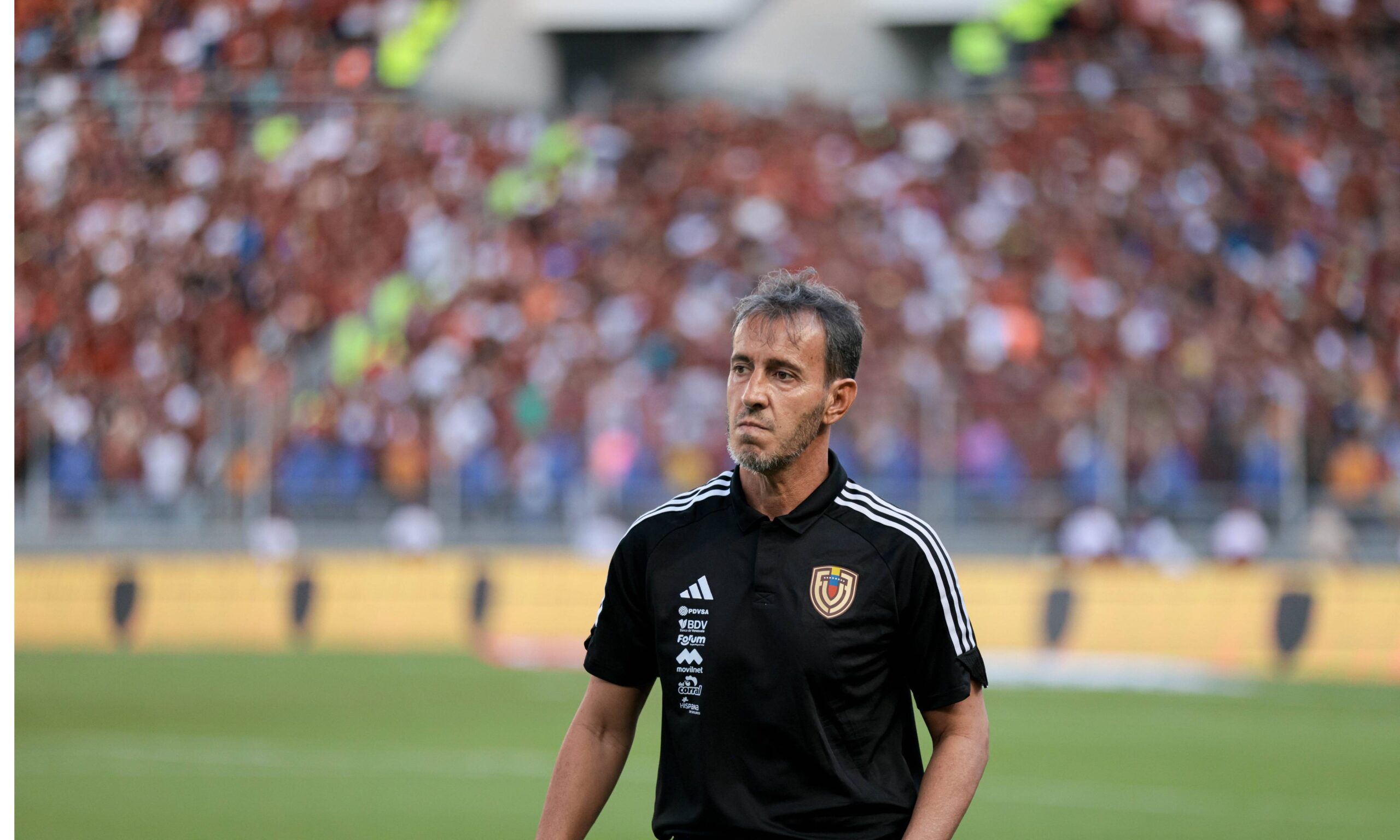 FVF notificó: Él clicó de Fernando Batista con La Vinotinto concluyó